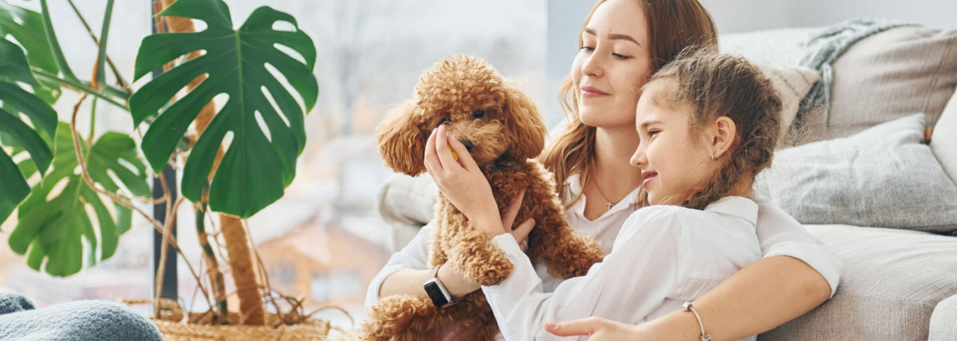 Pest Control Coupons in Seabrook, TX | Men in Black Pest Control